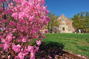 Color Palette - UConn Today