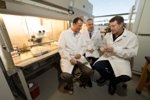 Finding the Pathways to Drug-induced Liver Injury - UConn Today