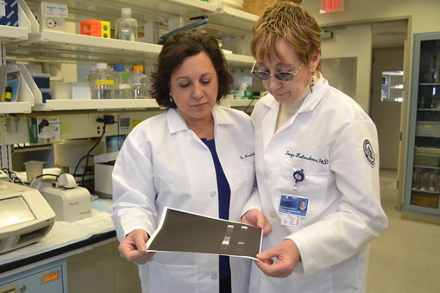 New UConn Genetics Researcher Studying Heart Disease and Infertility ...