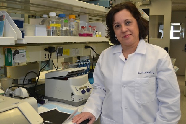 New UConn Genetics Researcher Studying Heart Disease and Infertility ...
