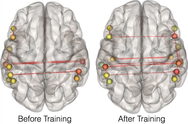 How the Brain Controls Speech - UConn Today