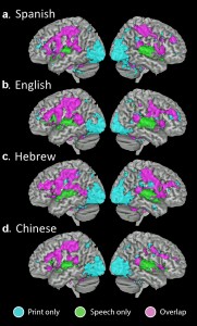 How the Human Brain Reads – In Any Language - UConn Today