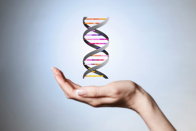 Clinical Geneticists on the Patient Case at UConn Health - UConn Today