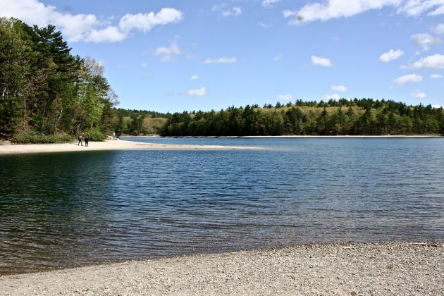 Thorson's Guide to Walden Pond - UConn Today