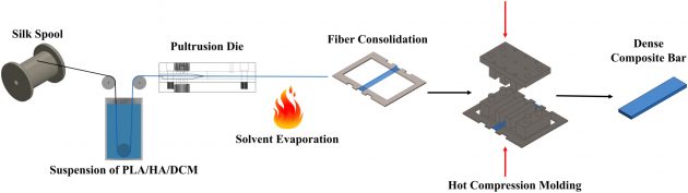Spider Silk Key to New Bone-Fixing Composite - UConn Today