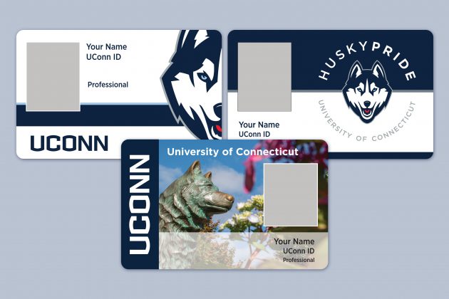 Voting Open on New UConn One Card Design - UConn Today