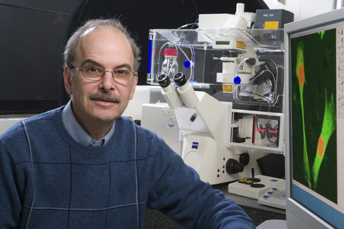 Five UConn Faculty Honored as Board of Trustees Distinguished ...