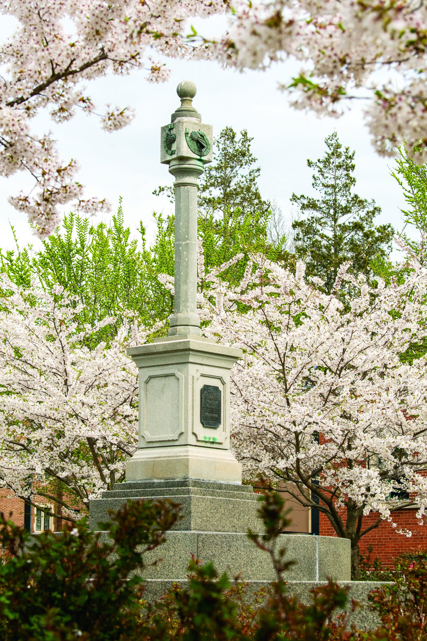 Campus in Full Bloom - UConn Today