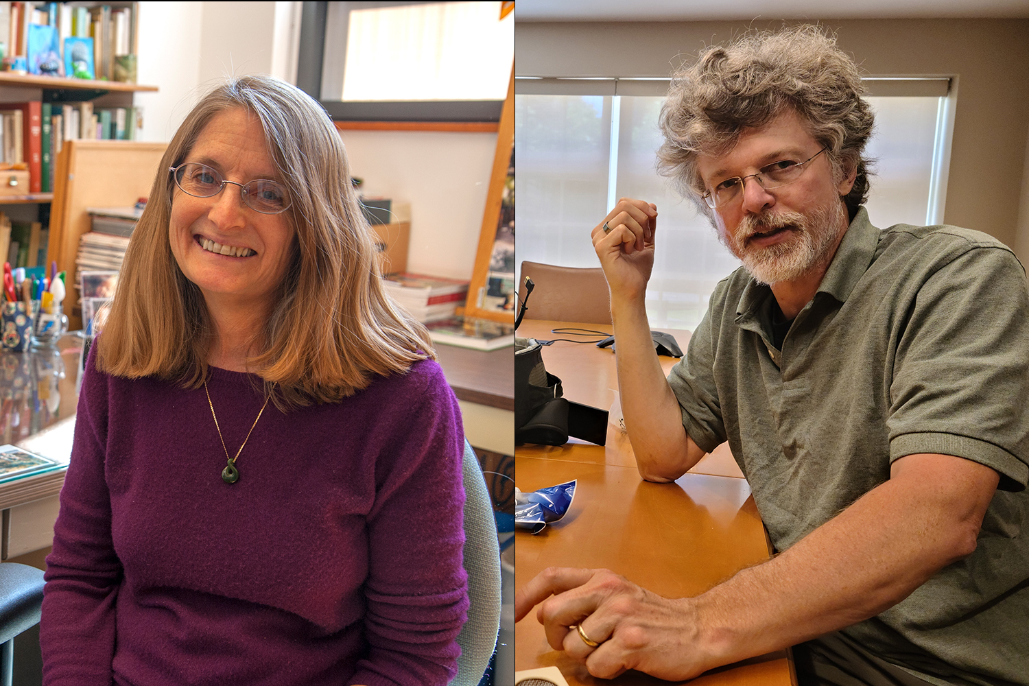 UConn Professors Tell Cicadas' Story to the World - UConn Today