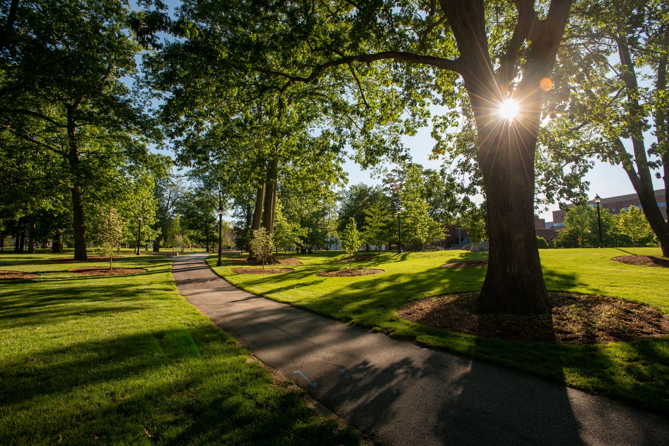 Ask UConn Extension: Summer's Burning Questions - UConn Today