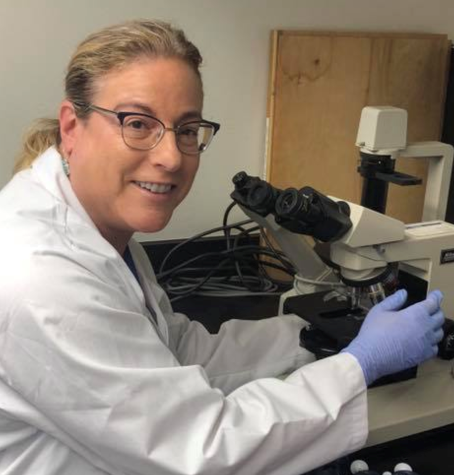 Eight New Faculty Members Join the School of Nursing - UConn Today