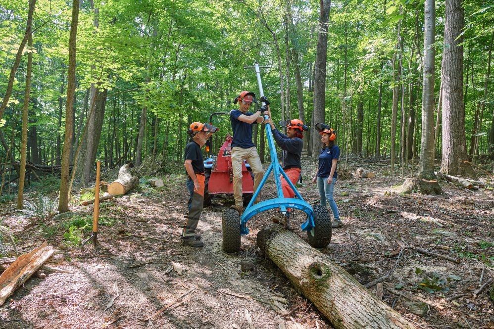 Out of the Woods: Products from the UConn Forest Provide Educational ...