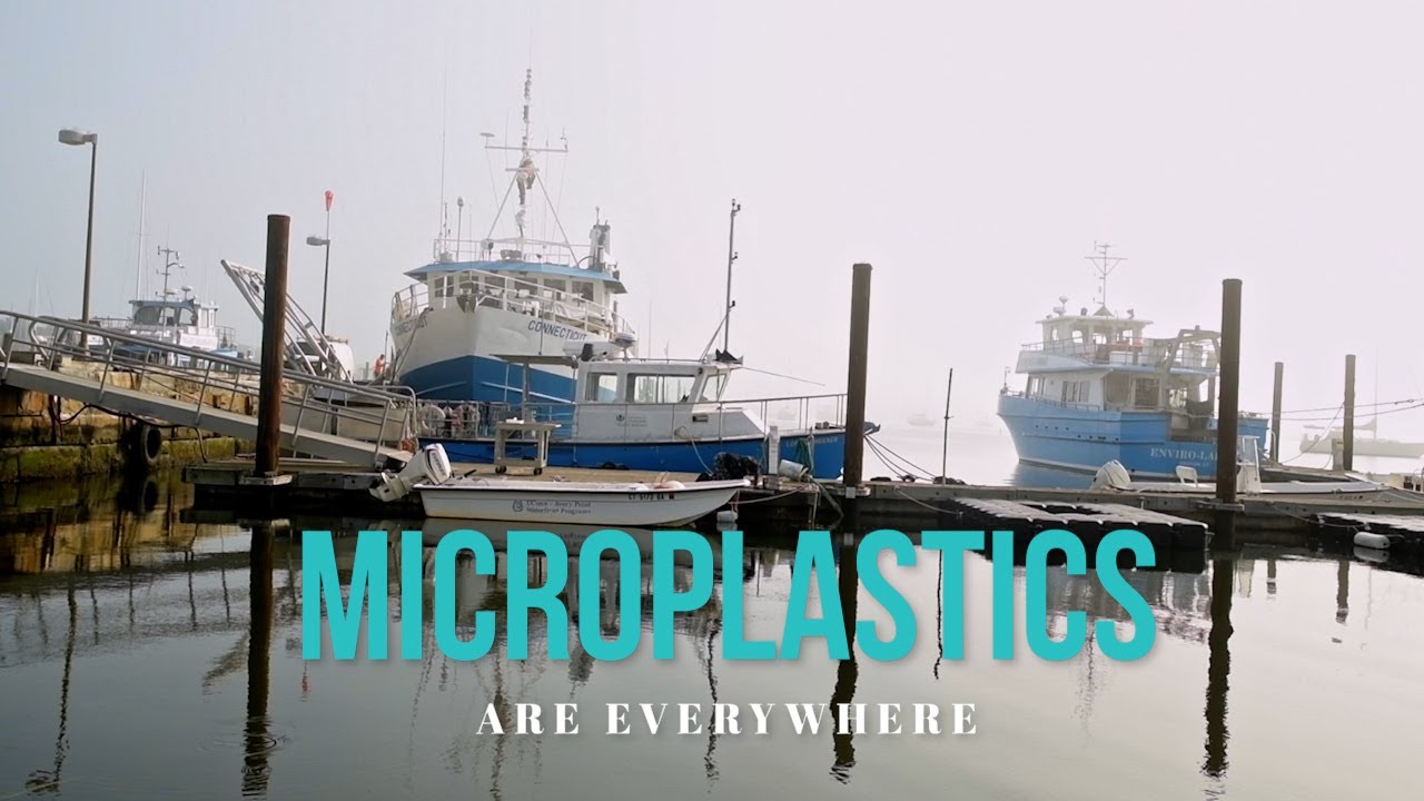 Microplastics Are Everywhere - UConn Today