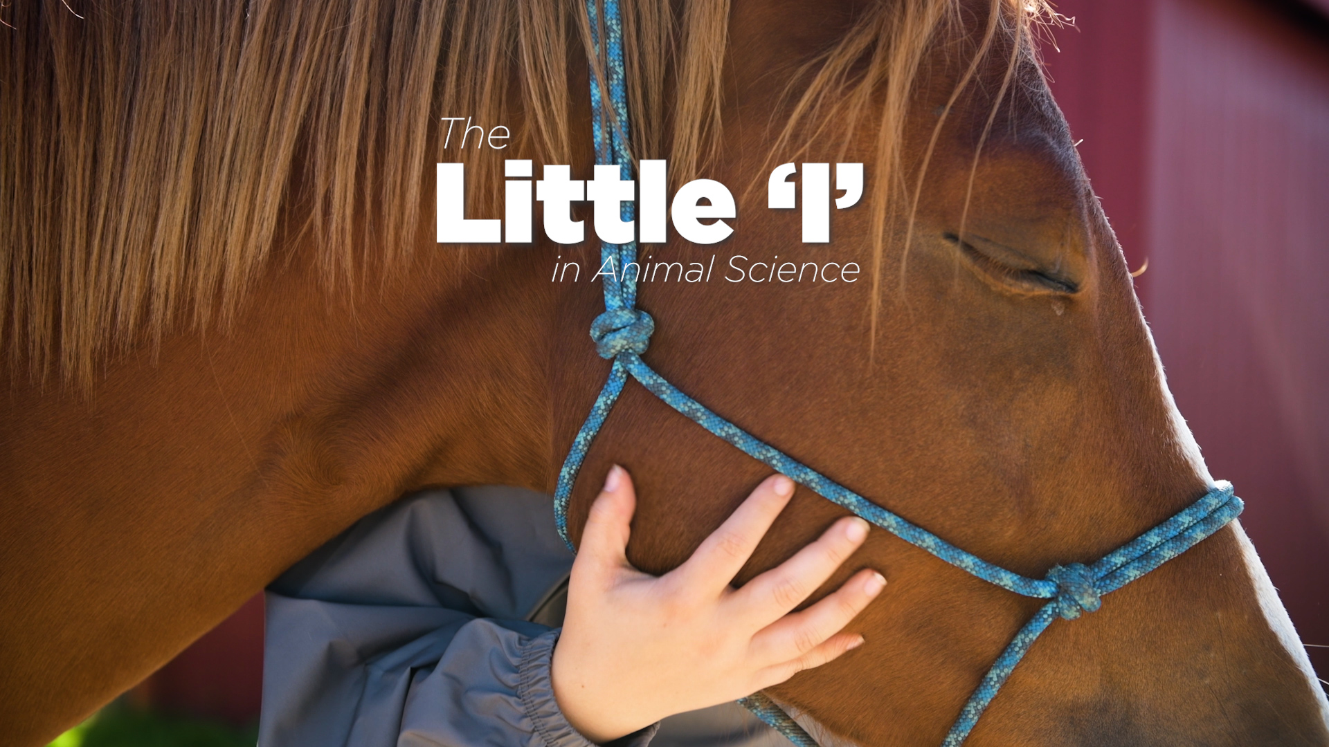 A Lot of Learning From the 'Little I' - UConn Today