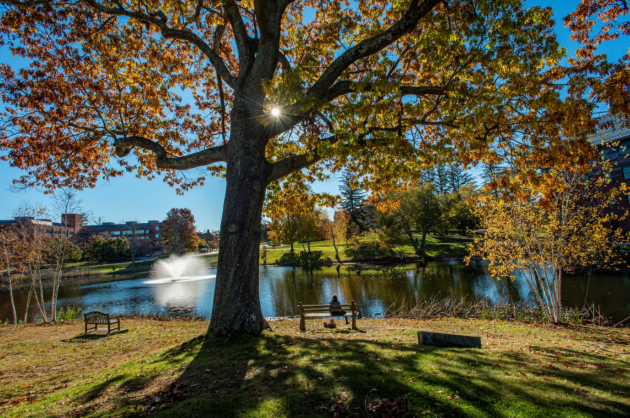 UConn 2021: The Year in Photos - UConn Today