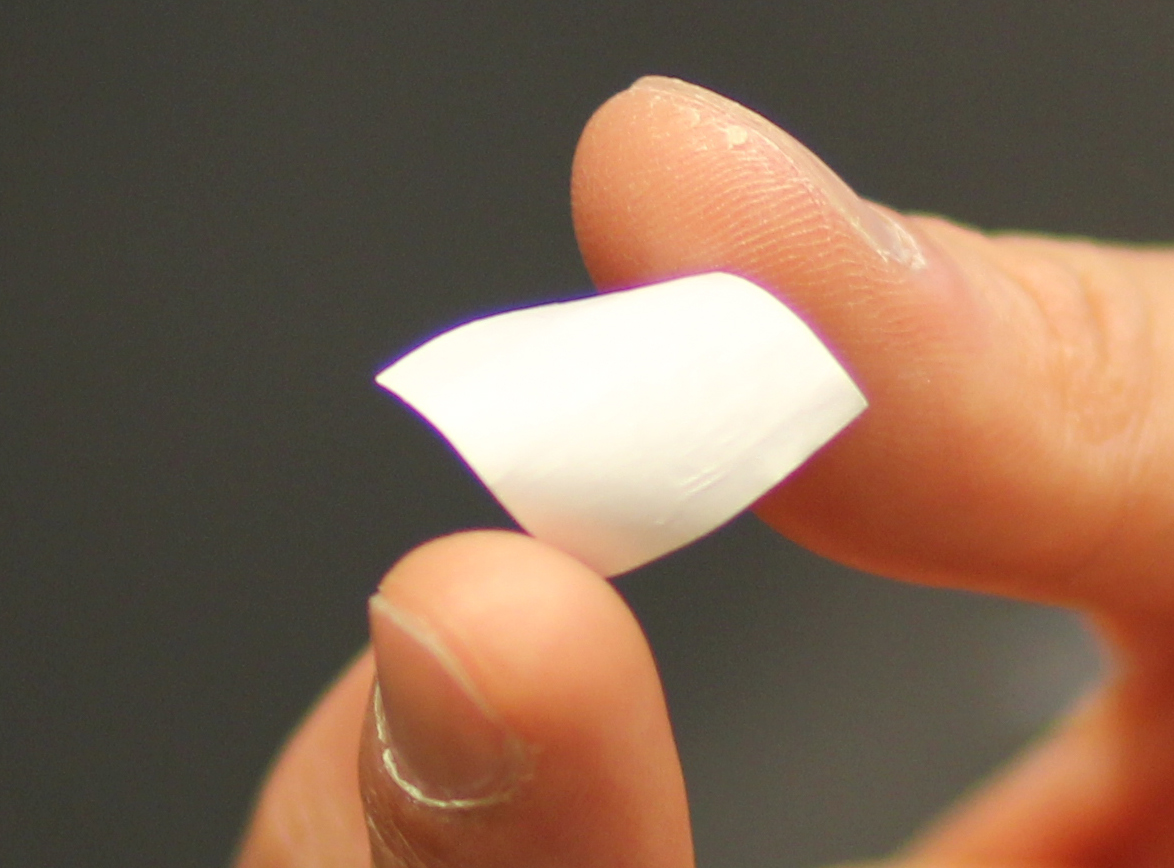 Regrowing Cartilage in a Damaged Knee Gets Closer to Fixing Arthritis ...