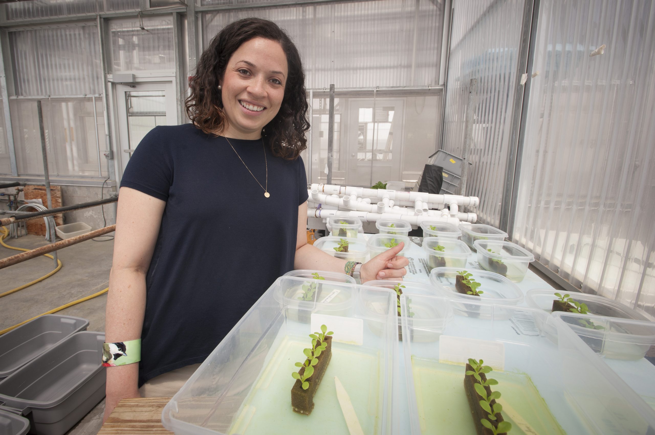 Rosa Raudales Named Director of Outreach and Engagement - UConn Today