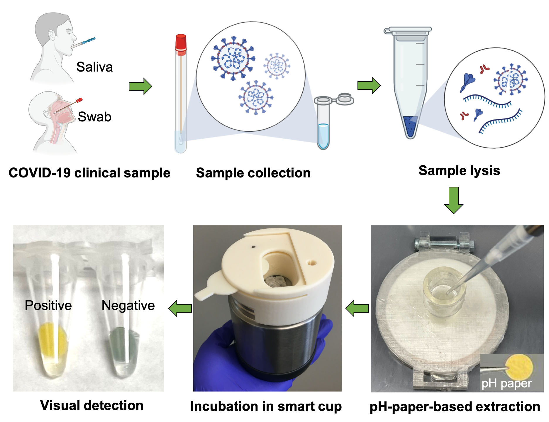 UConn Researcher’s Home COVID-19 Test Comparable to PCR Accuracy ...