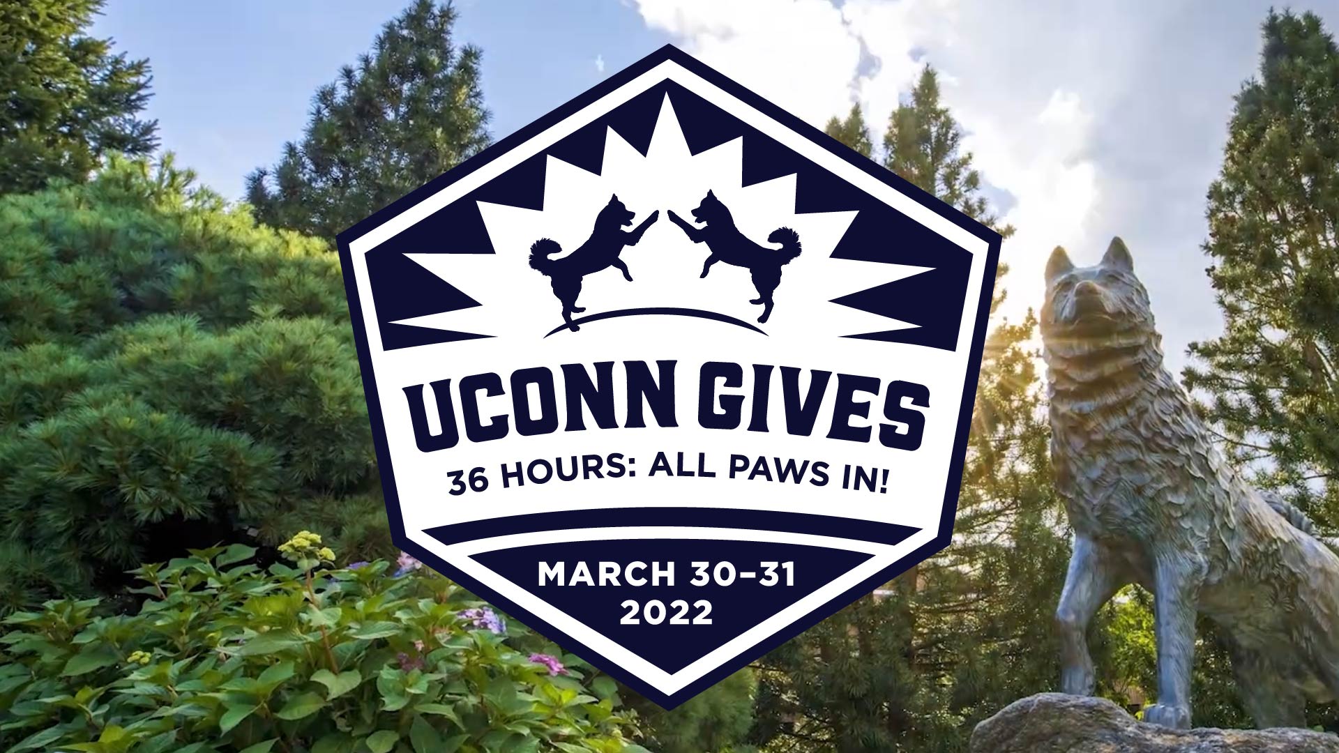 Uconn Wallpaper 2022