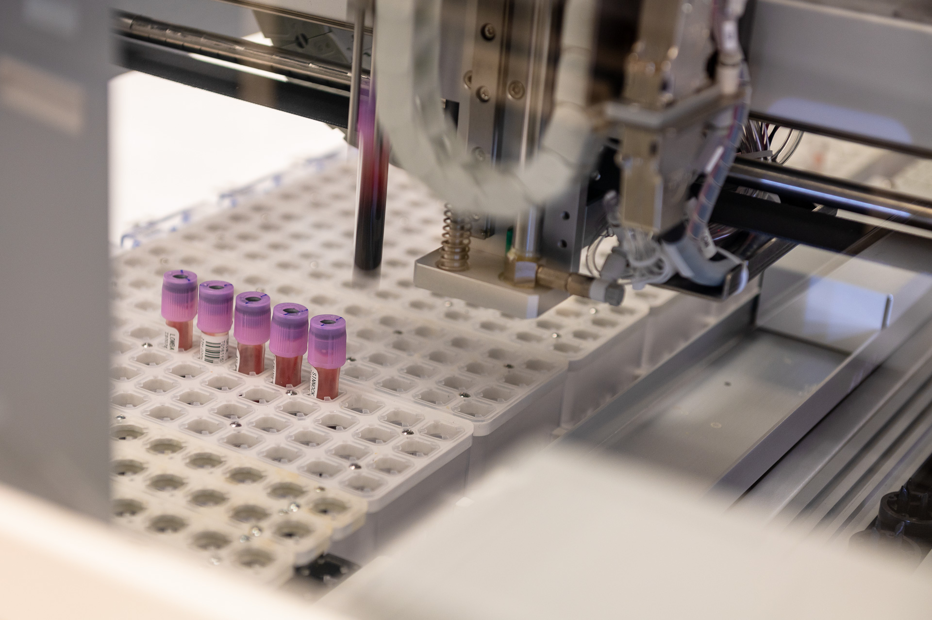 Accelerating Lab Results - UConn Today