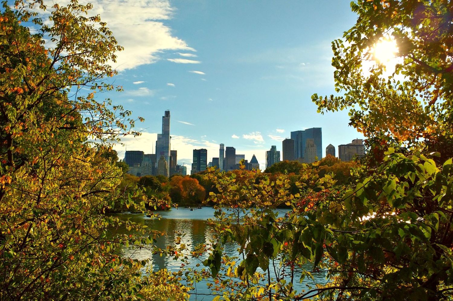 Olmsted 200 Celebrates Legacy of ‘Father of Landscape Architecture ...