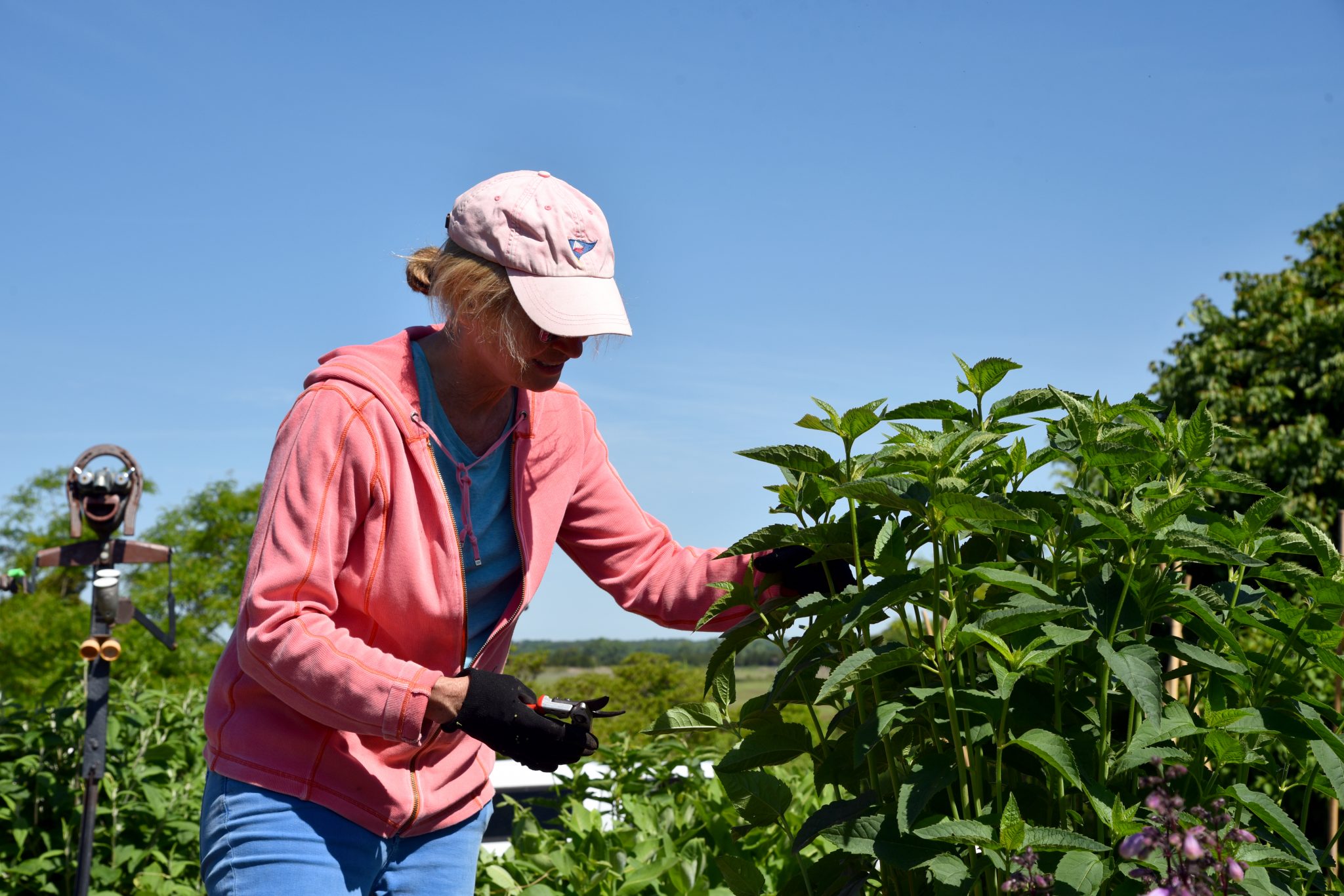 Master Gardener Program Supports Ecologically Sound Gardening at ...