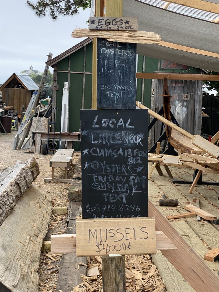 CT Sea Grant Supports Shellfish Industry Through Pandemic and Beyond ...