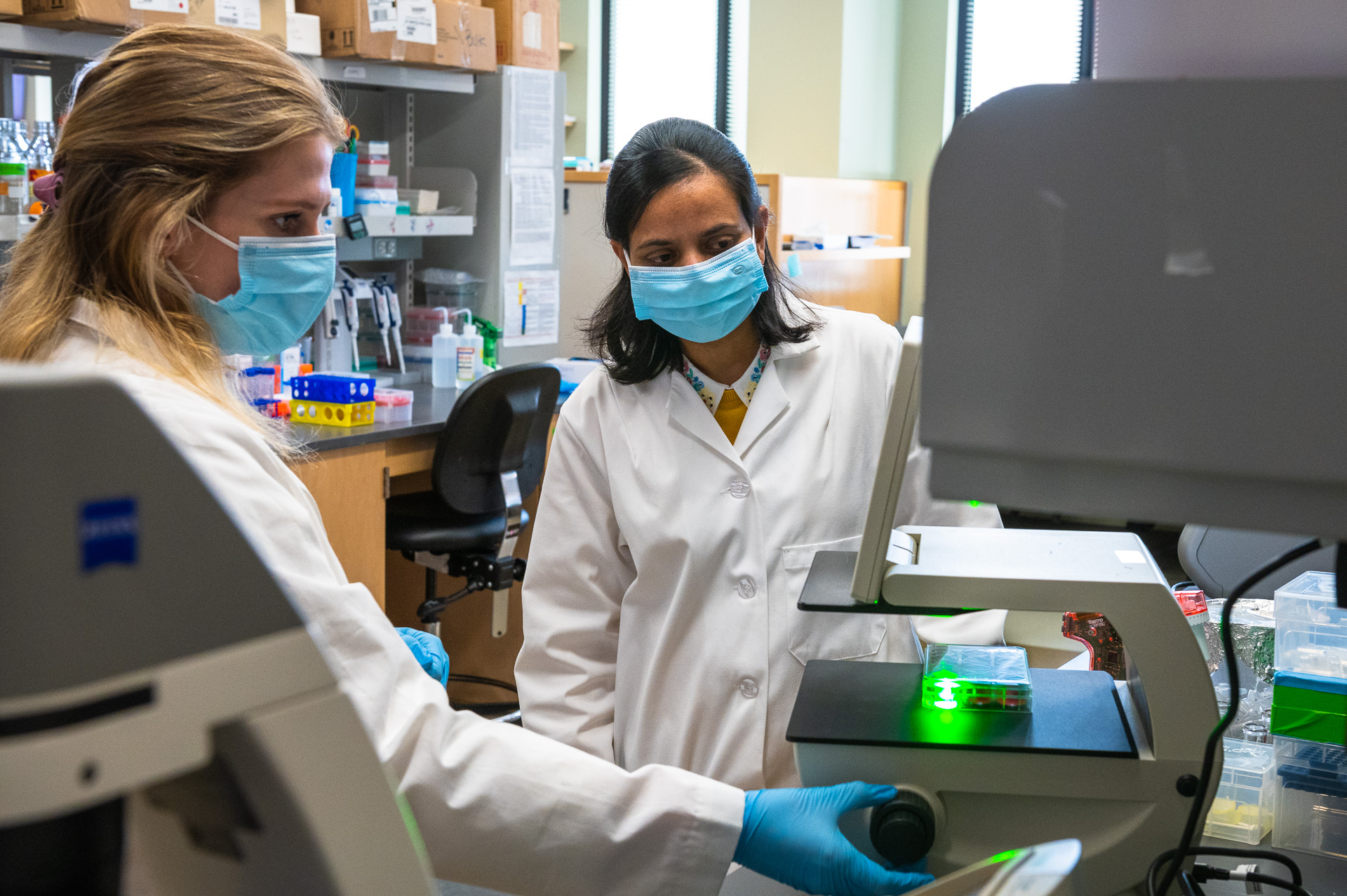 Science in Seconds: Our Immunity vs E. coli - UConn Today