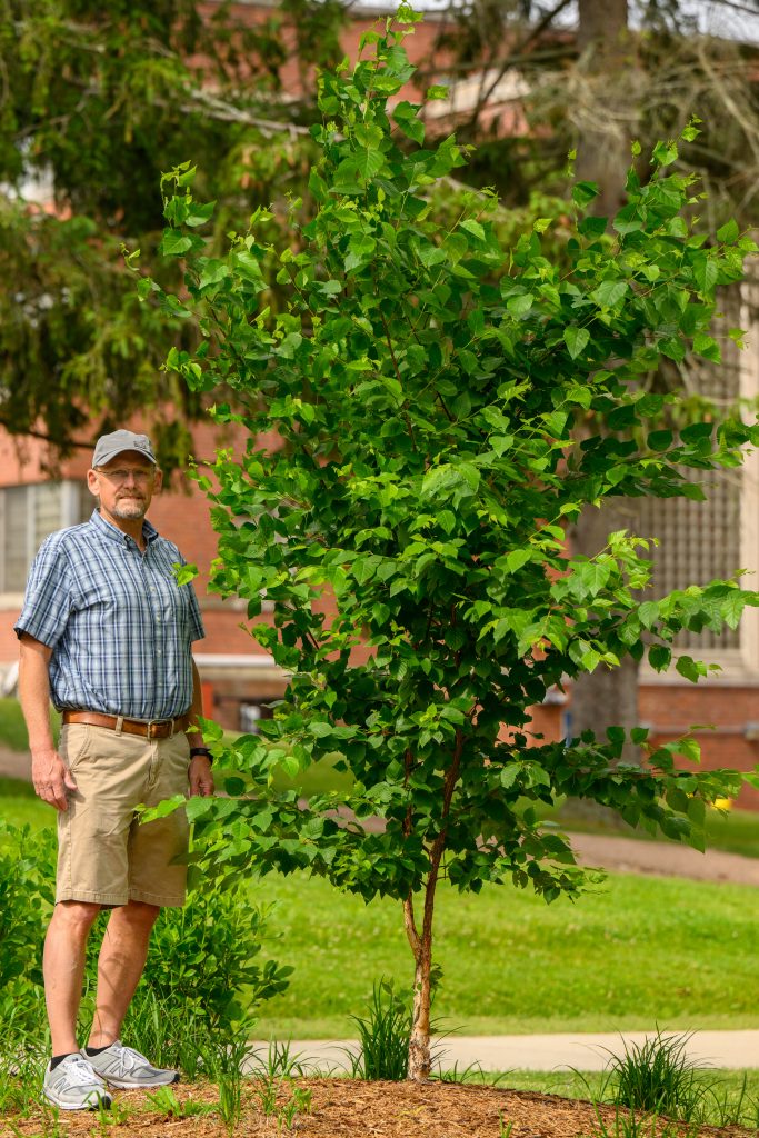 Legacy of Beloved Former ‘Swing Tree’ Lives on As its Progeny Thrive on ...