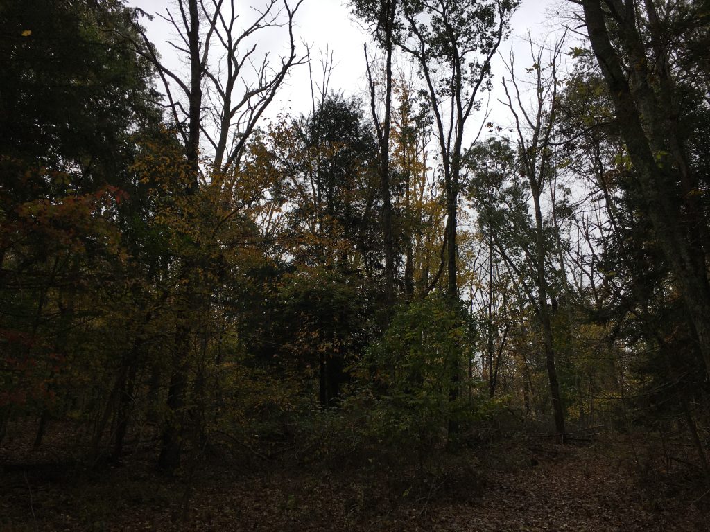 'The Problem is Nature Just Isn't Natural Anymore' - UConn Today
