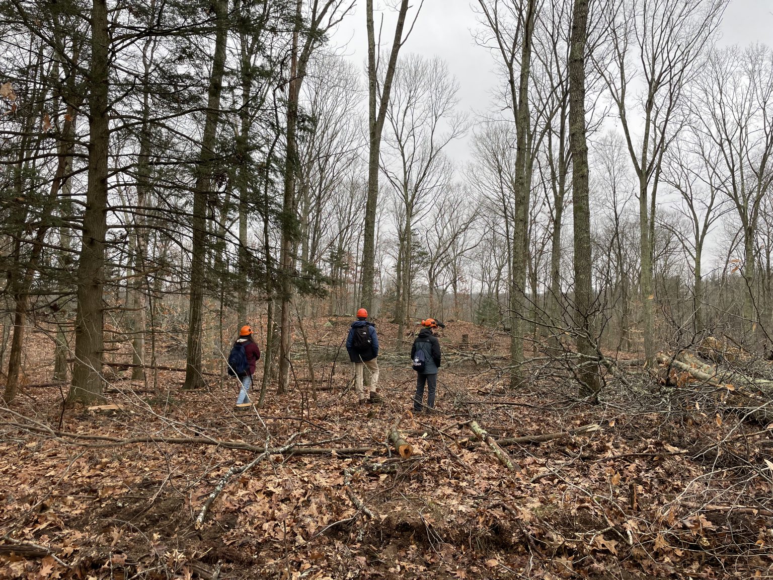 'The Problem is Nature Just Isn't Natural Anymore' - UConn Today