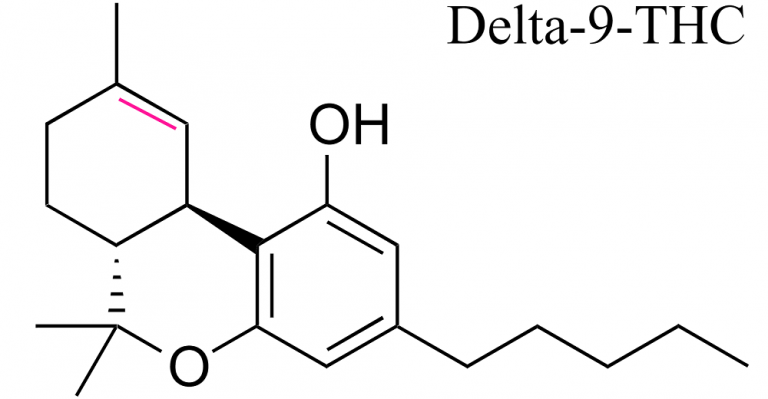 Both Types of THC Get You High--So Why is Only One Illegal? - UConn Today