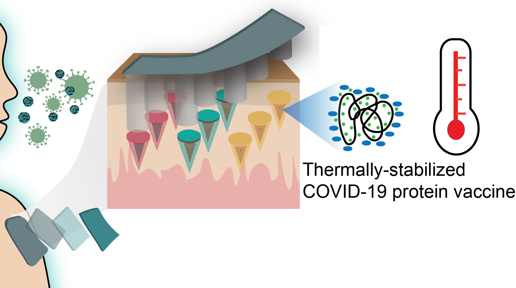 Researchers Develop Strategy to Thermally Stabilize Microneedle Vaccine ...
