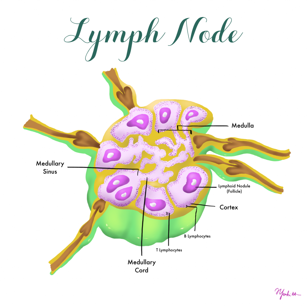 Science Isn’t Always Black and White; UConn Sci-Art Gallery Seeks to ...