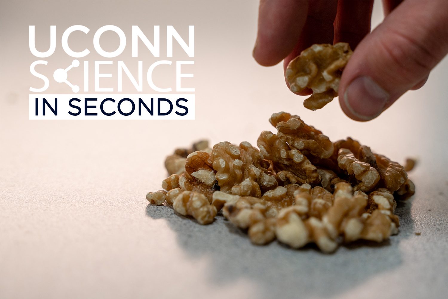 Science In Seconds: The Wonders of Walnuts - UConn Today