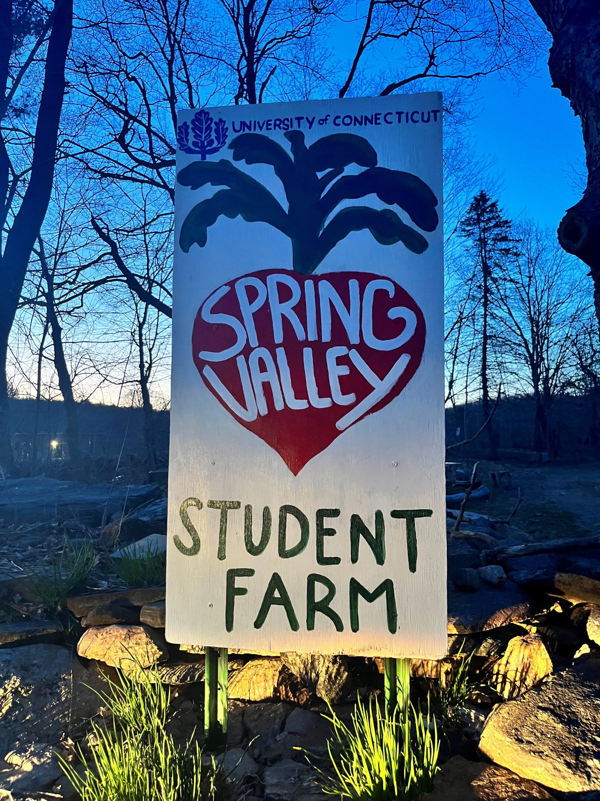 ‘A Home and a Community’ on UConn’s Student Farm - UConn Today