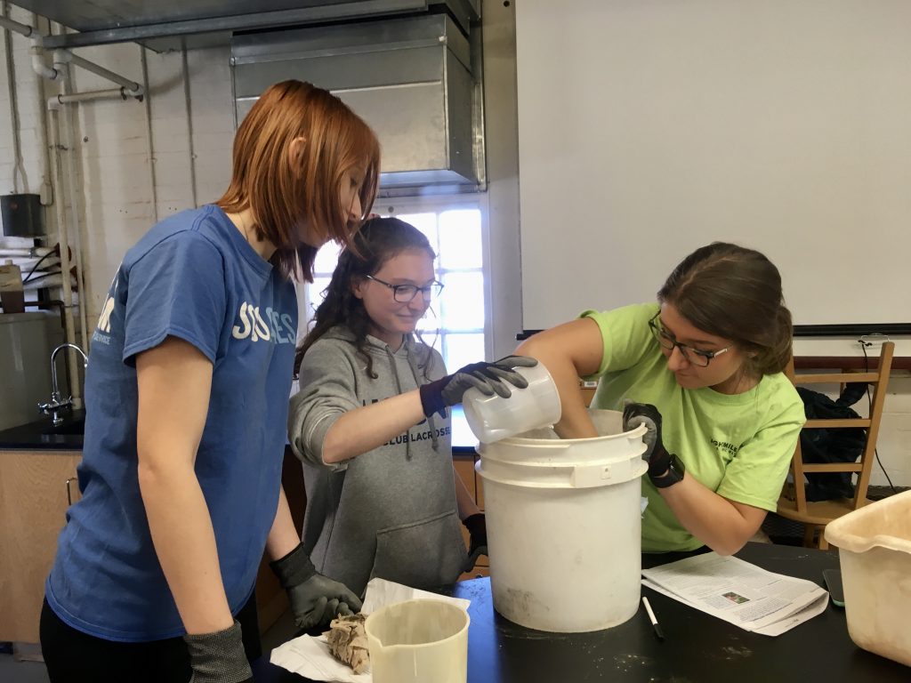 E-Corps: Building Skills and Bolstering Environmental Efforts Across ...