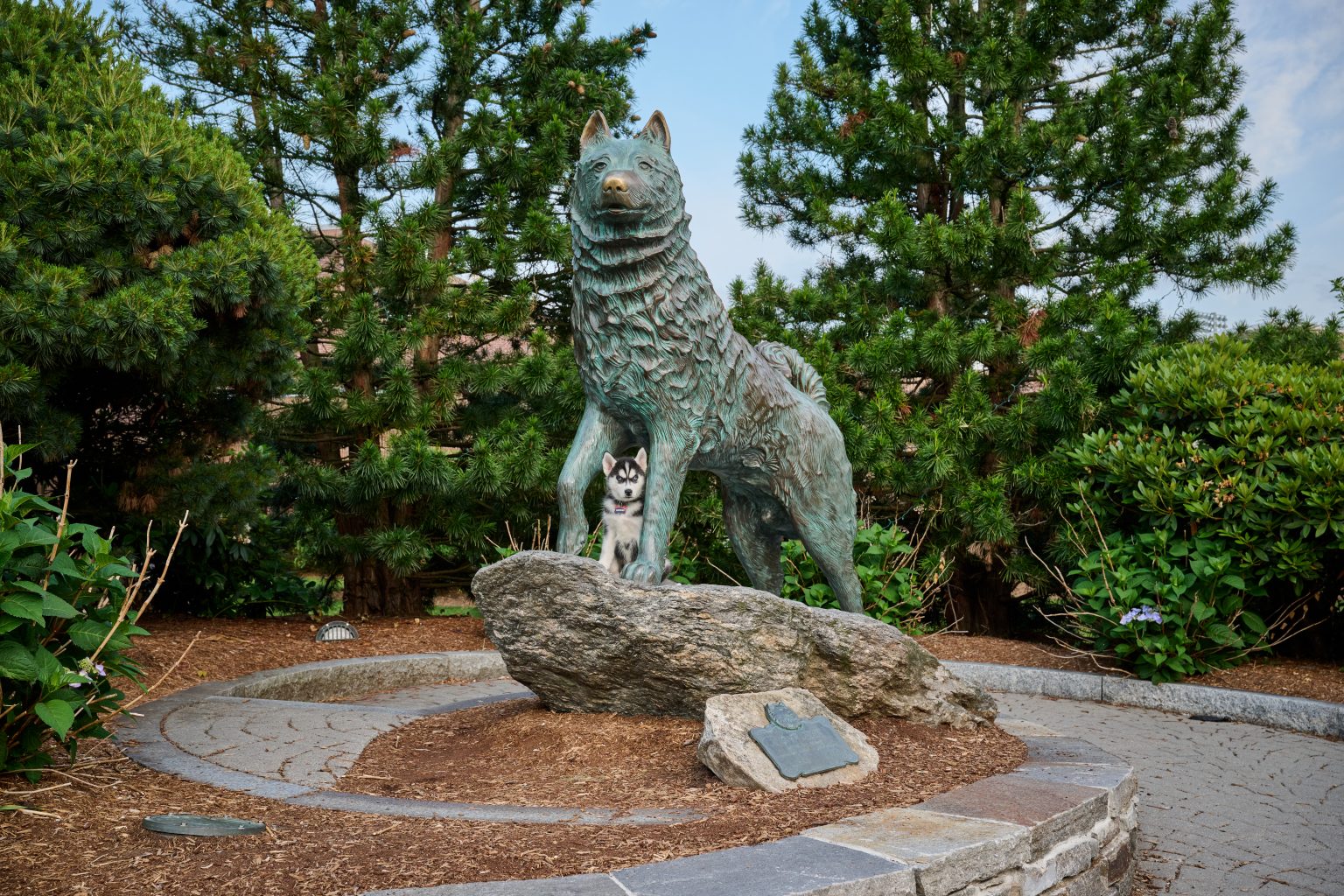 Jonathan XV has Arrived, and Doggone it, He’s Adorable - UConn Today