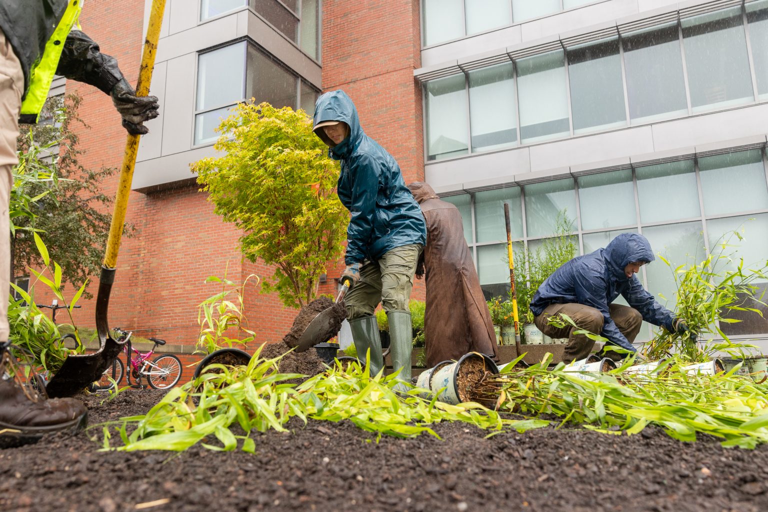 A Growing Tribute: Garden Planted at Werth Tower in Memory of UConn ...