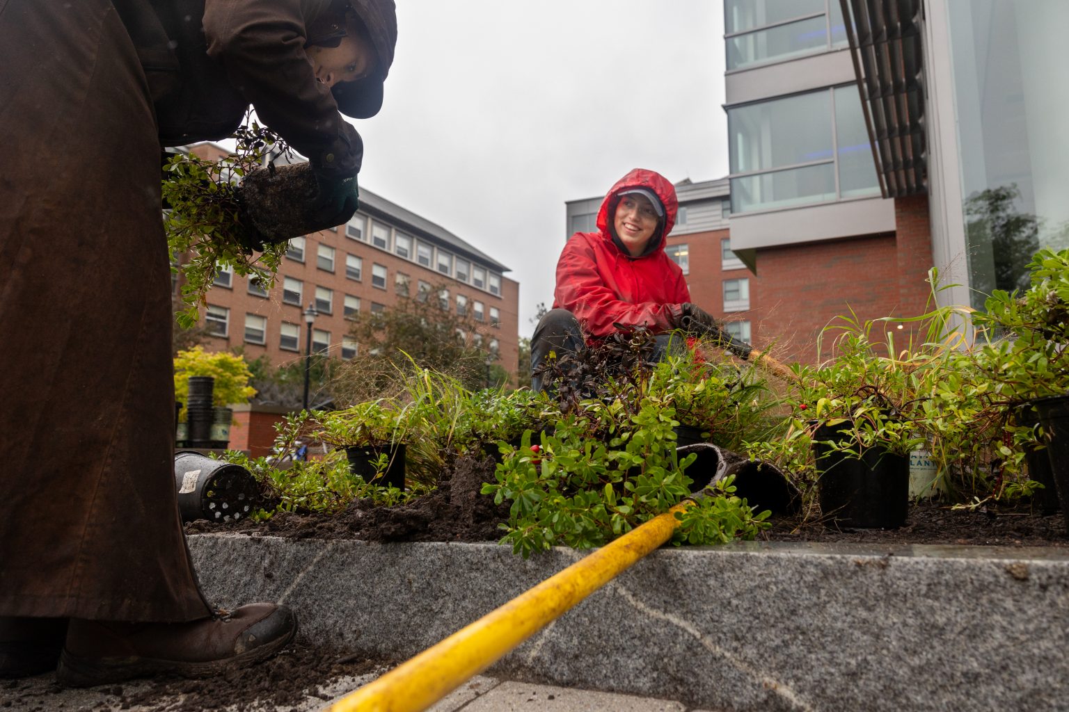 A Growing Tribute: Garden Planted at Werth Tower in Memory of UConn ...