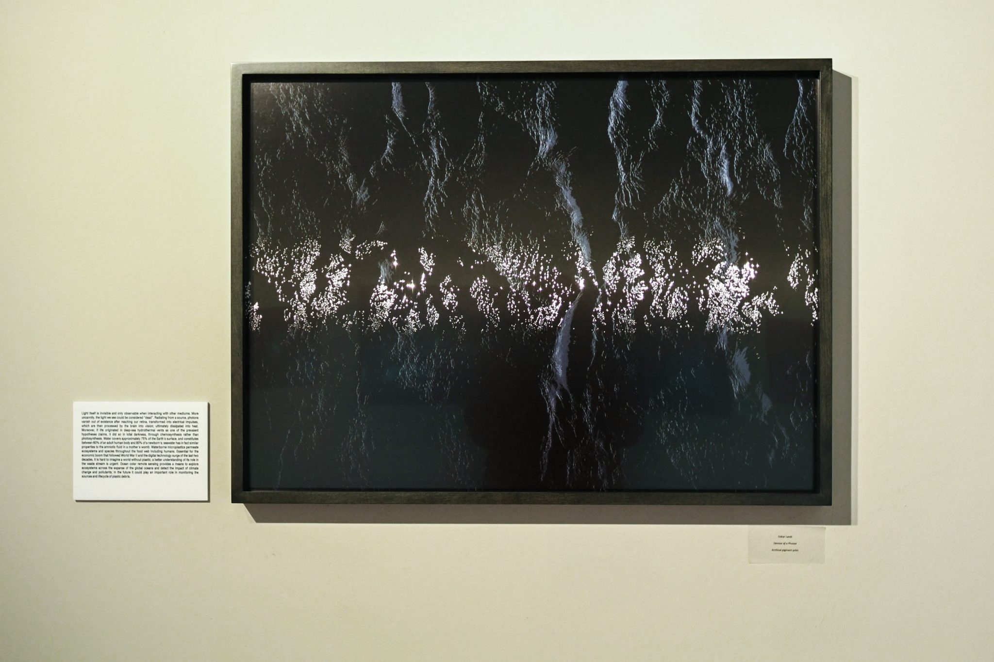 Art Meets Science in ‘Floating Points’ Exhibition at AVS Gallery at ...