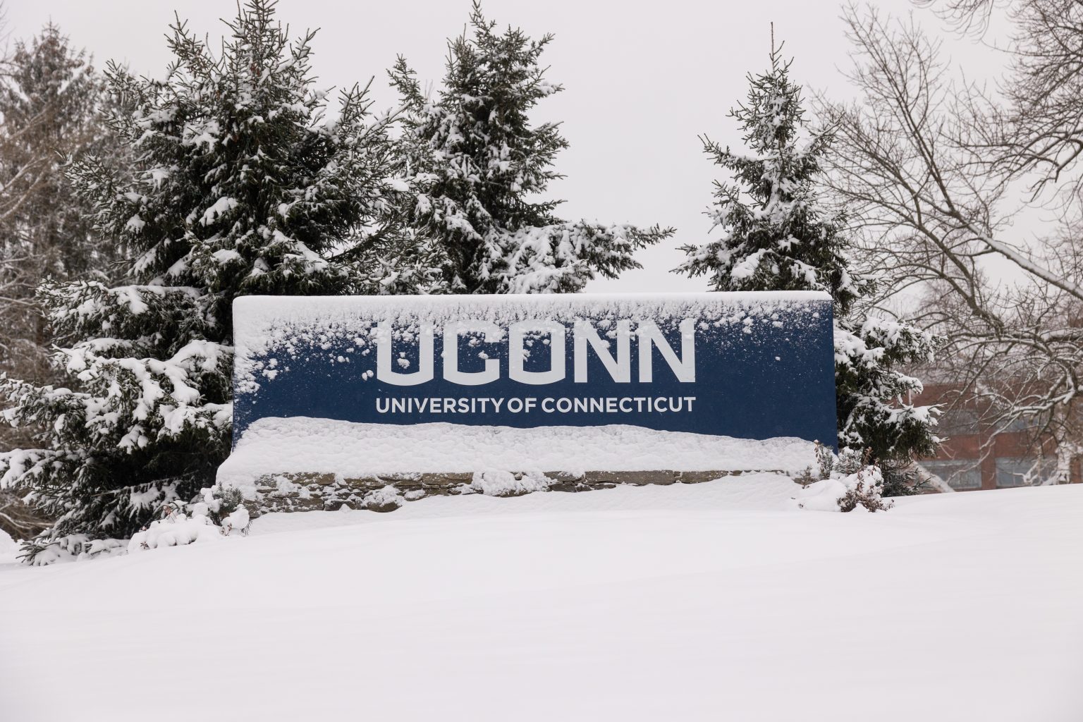UConn Earns Carnegie Community Engagement Classification - UConn Today