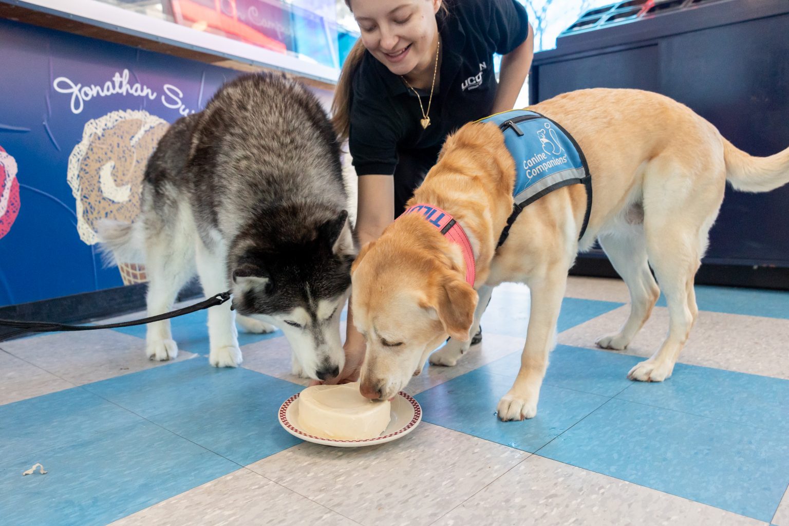 With the 'Changing of the Collar,' Jonathan XV Becoming UConn’s Top Dog ...