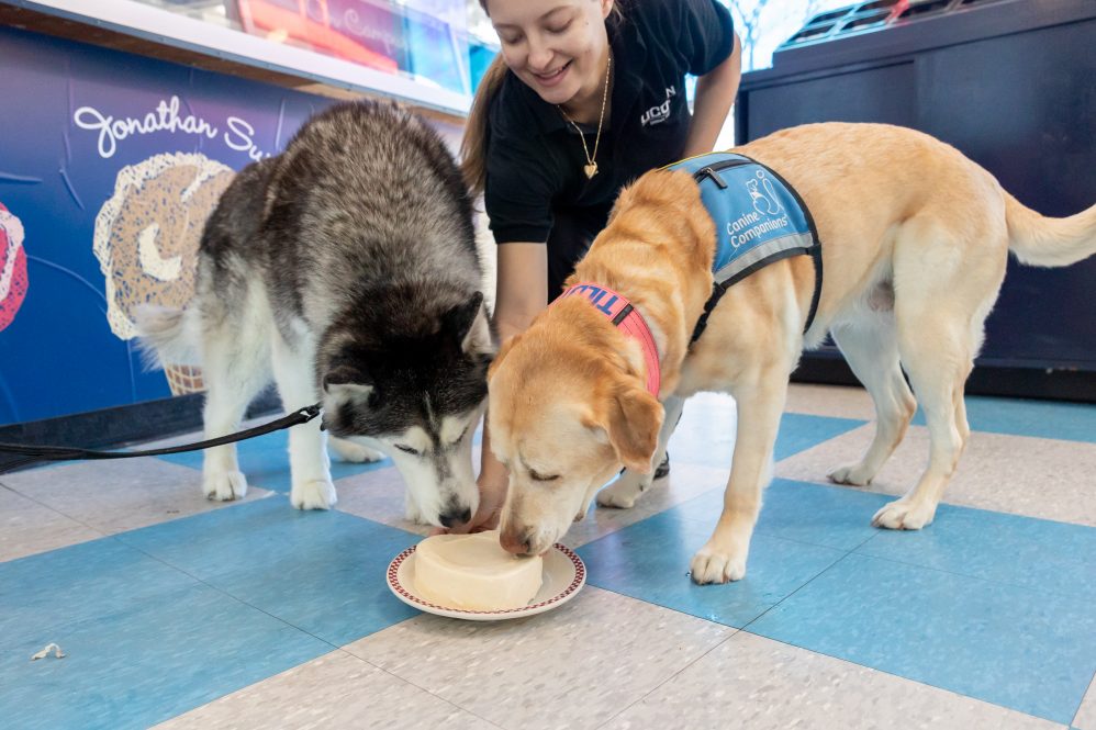 With the 'Changing of the Collar,' Jonathan XV Becoming UConn’s Top Dog ...