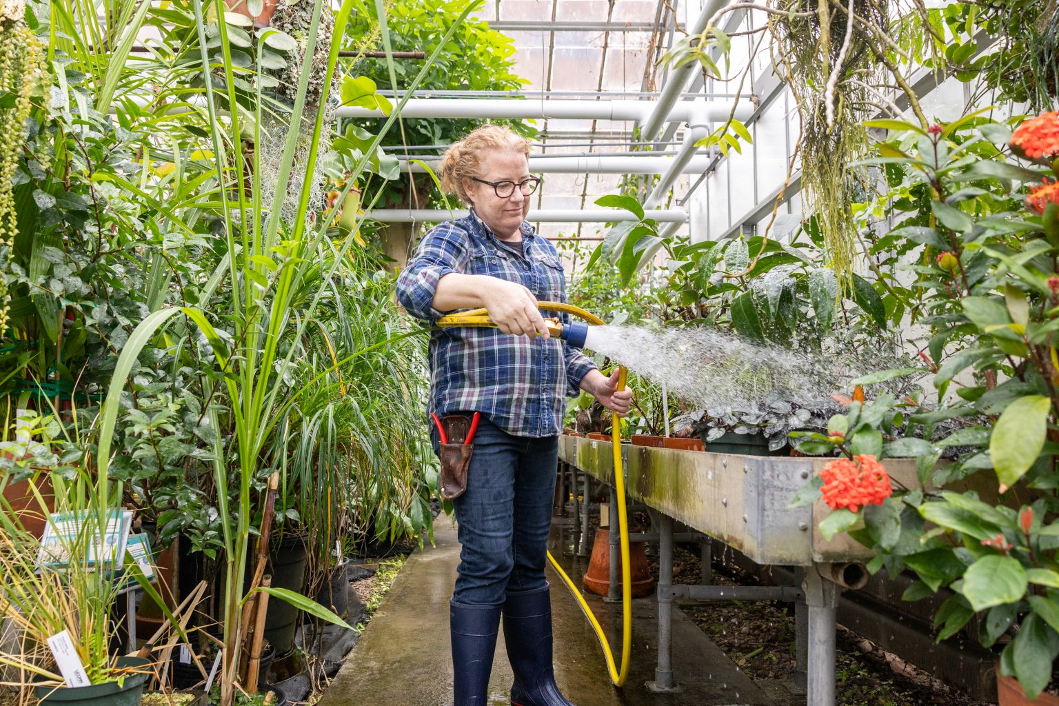 For the Love of Plants: Garden Club of America to Tour UConn’s ...