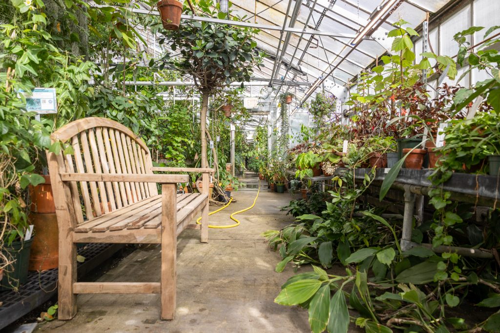 For the Love of Plants: Garden Club of America to Tour UConn’s ...