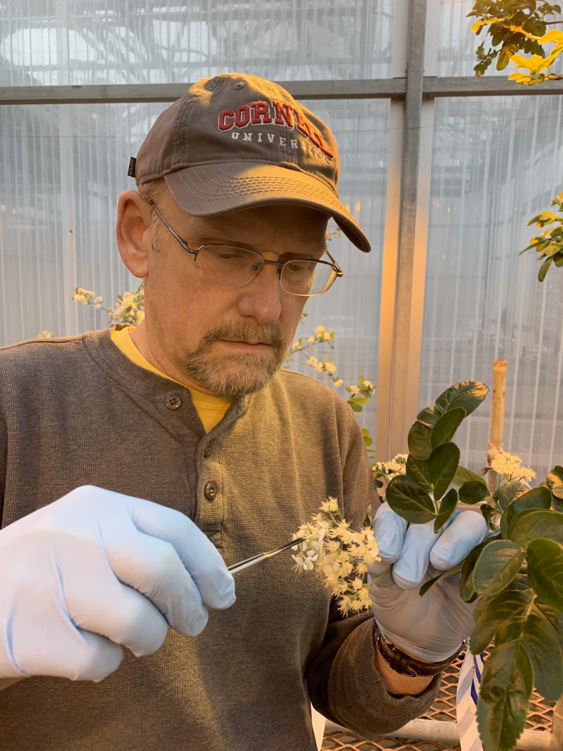 A Dual Mission: Growing Green, UConn Professor Earns Income Licensing ...