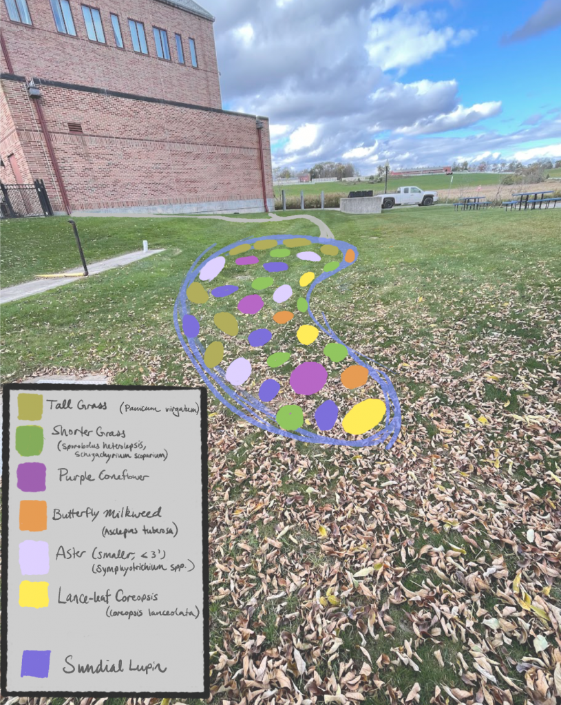 Tending Your Garden: New Rain Garden Installation Offers Lessons in ...