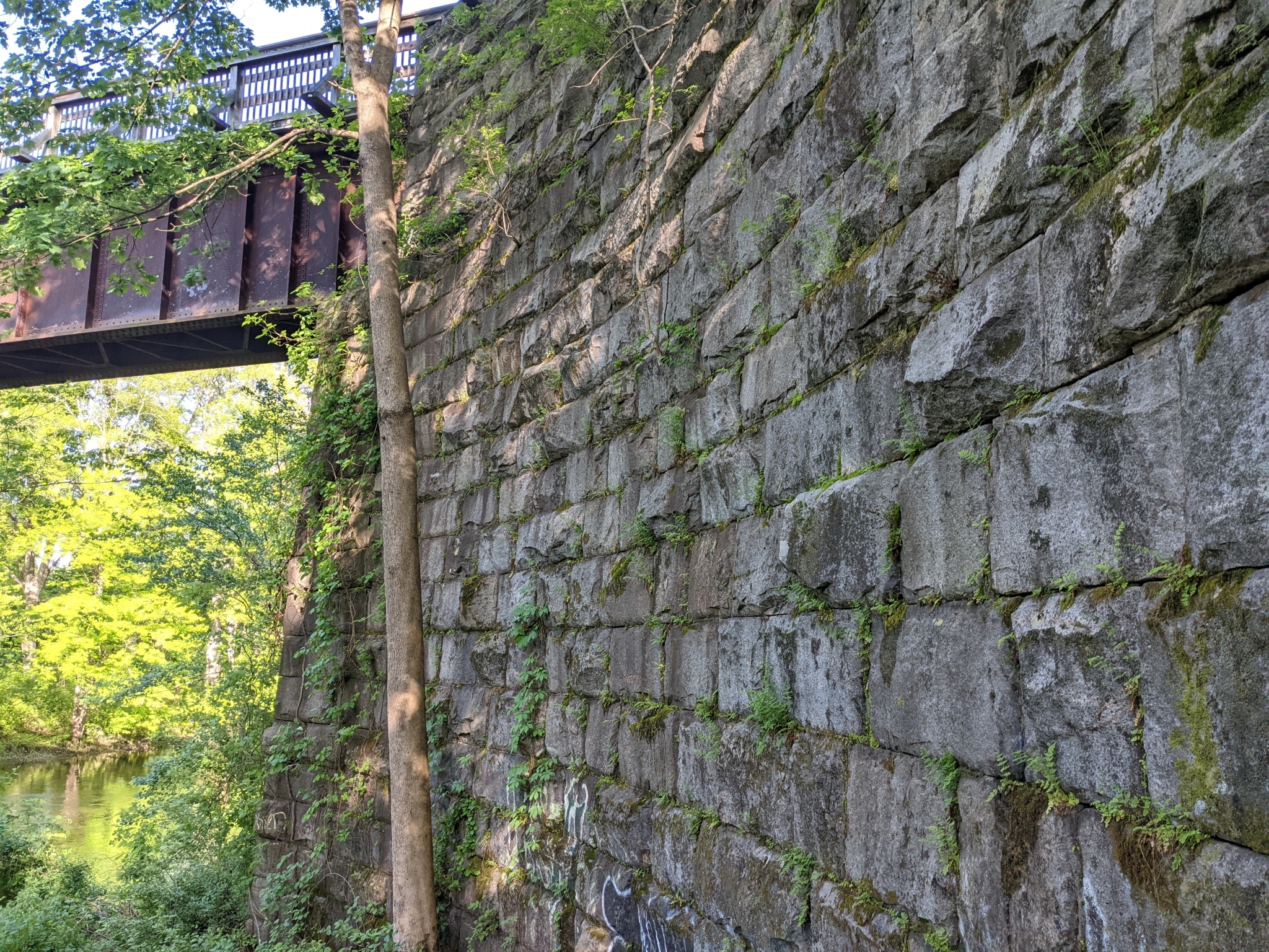 BRIDGE: Preparing for Academic Success - UConn Today