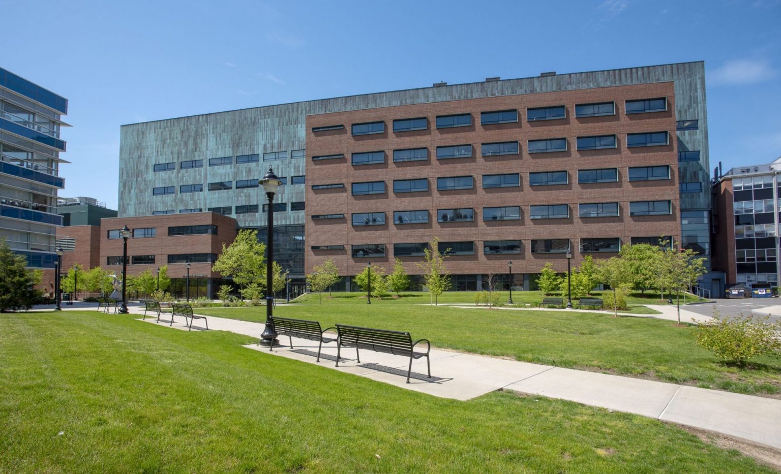 Six Students Receive Research Awards this Summer in the Sartor Lab ...